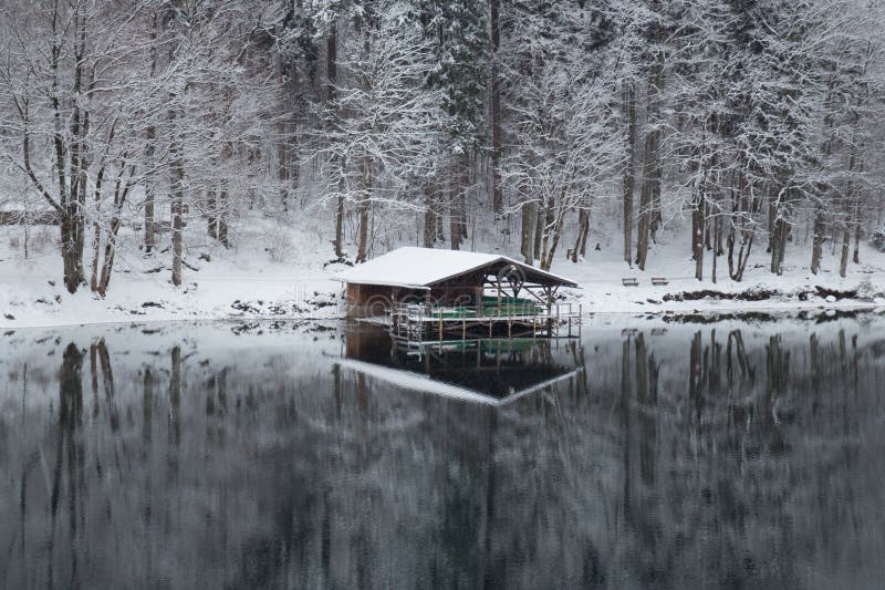 Pier Alpsee Lake Winter Time Germany Stock Photos - Free & Royalty-Free ...
