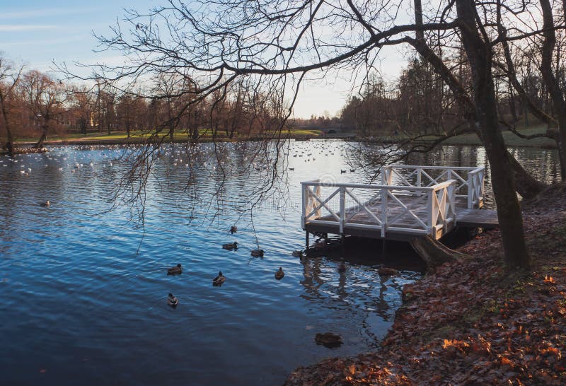 Pier on the Autumn Lake. Peace by the Lake. Stock Photo - Image of ...