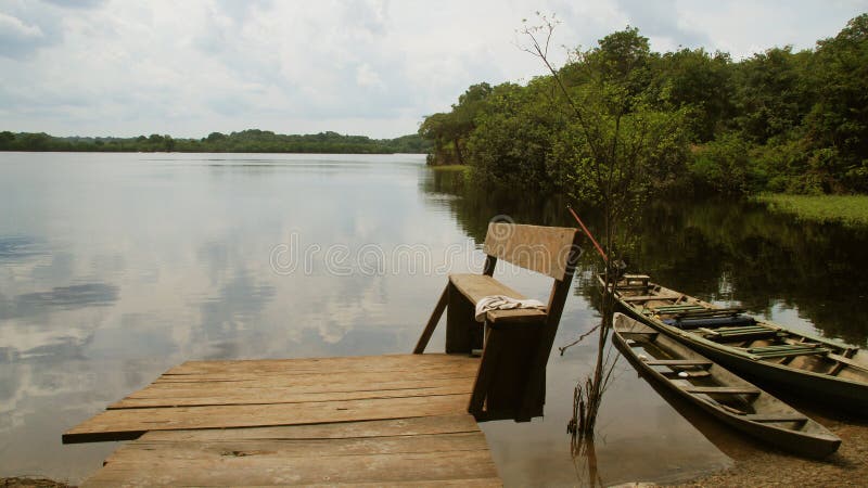 River and Rain Forest at Amazonas, Brazil Stock Photo - Image of ...