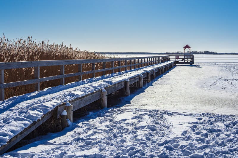 Pier on the Bodden Coast in Wieck, Germany Stock Photo - Image of reeds ...