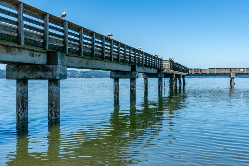 Pier at Dash Point 3 stock image. Image of structure - 325867135