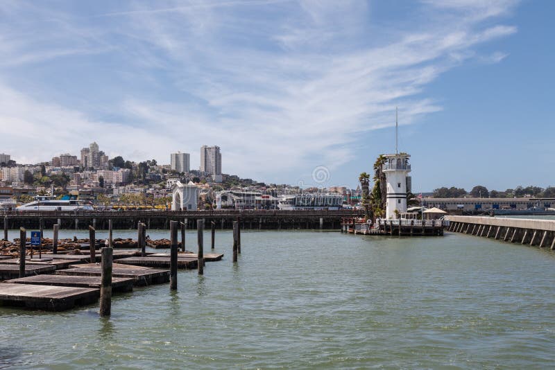 Pier 39 Forbes Island in San Francisco Stock Image - Image of animal ...