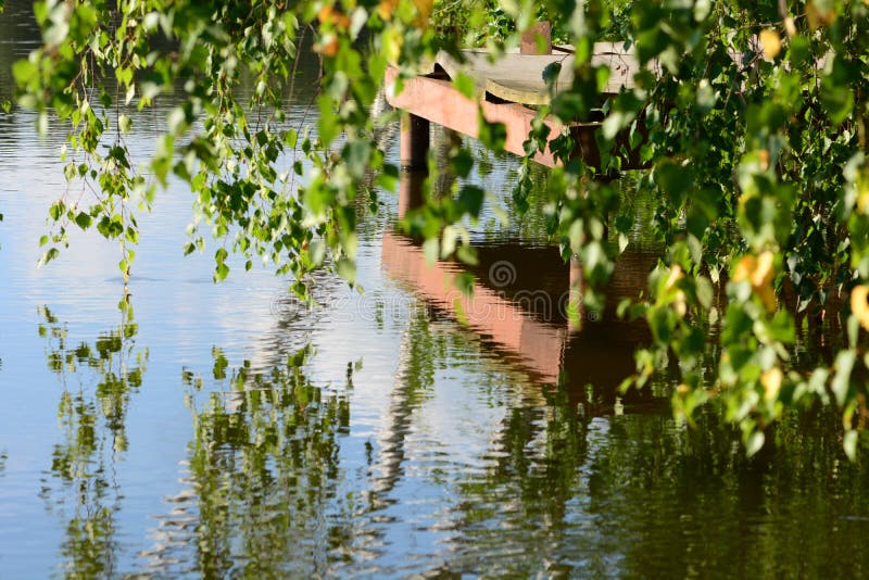 Pier and leaves reflection stock photo. Image of peaceful - 98855780