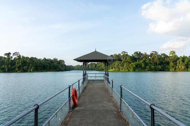 MacRitchie Reservoir Kayaking Dock Editorial Photo - Image of adult ...