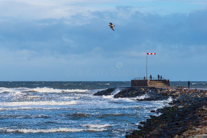 Seagull Windsock Stock Photos - Free & Royalty-Free Stock Photos from ...