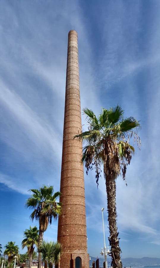 Pierce the sky stock photo. Image of spain, palm, pierce - 262219536