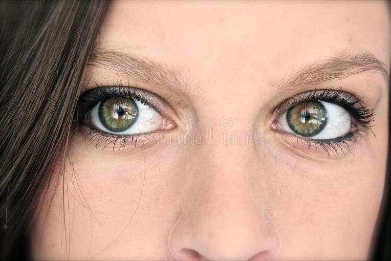 Piercing Eyes Side Glance stock photo. Image of garden - 45211932