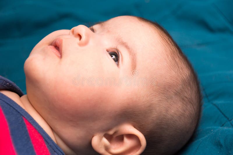 Piercing gaze of the child stock image. Image of gaze - 49071011