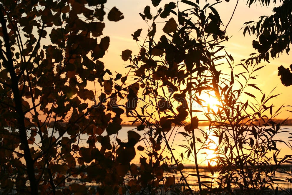 Piercing son stock image. Image of lake, piercing, serene - 125393085