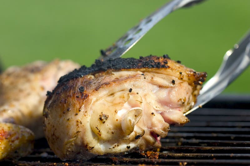 1,325 Pollo Muerto Fotos de stock - Fotos libres de regalías de Dreamstime