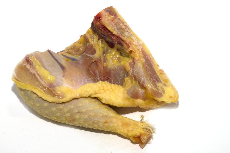 Pierna De Pollo Del Corte Y Muslo Imagen de archivo - Imagen de carne ...