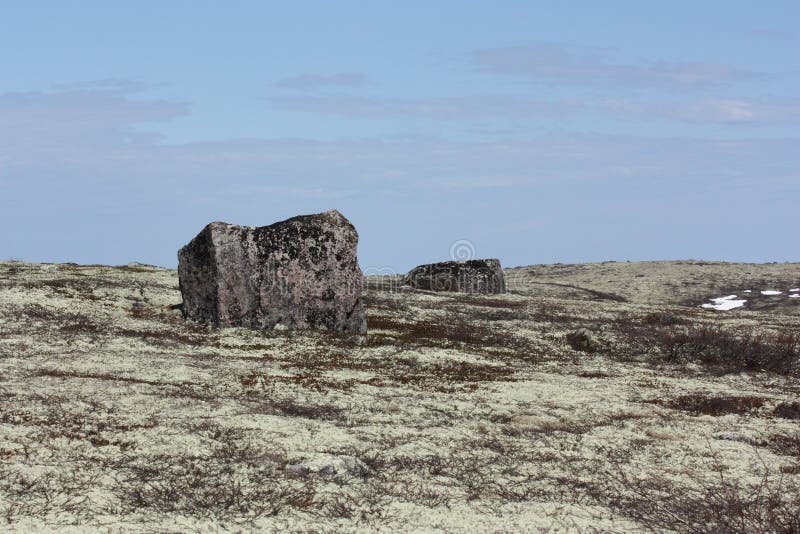 Pierre Cubique Dans La Toundra Photo stock - Image du cubique, nature ...