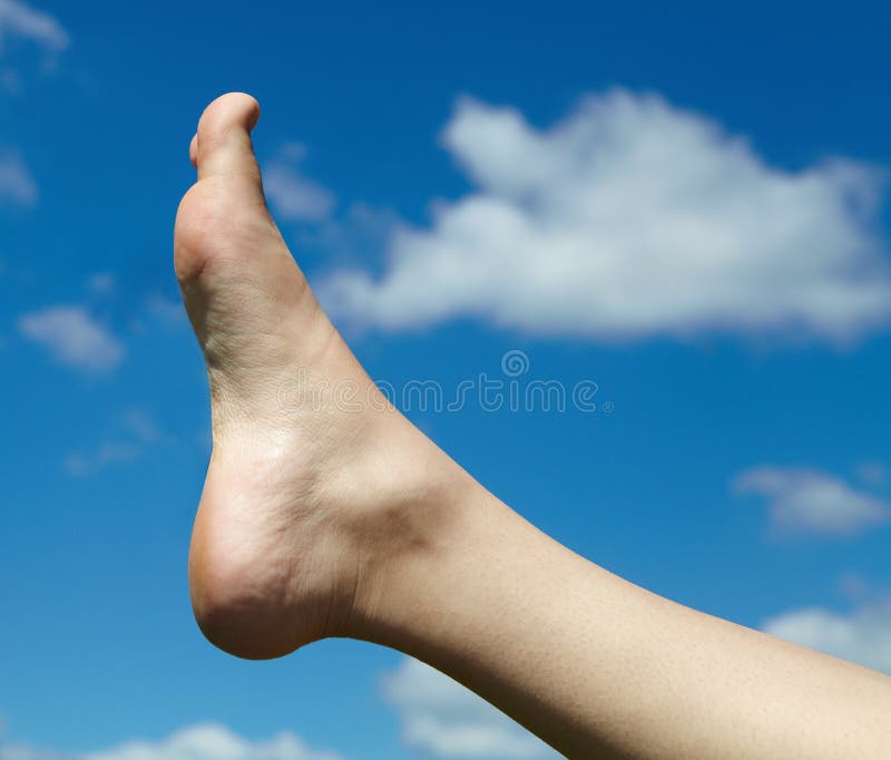 Pies de la mujer foto de archivo. Imagen de hembra, humano - 15429624