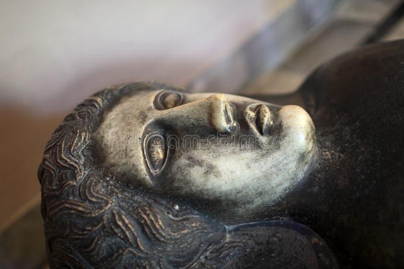 1,248 Antropoide Fotos - Libres de Derechos y Gratuitas de Dreamstime