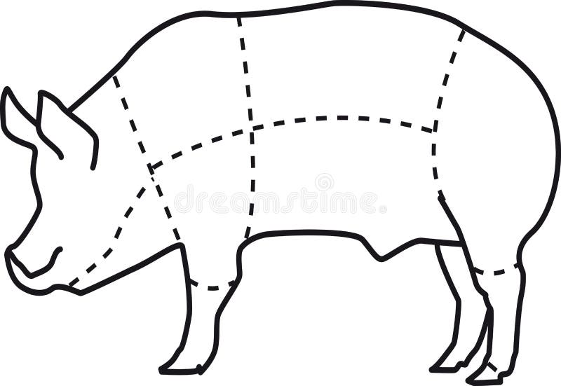 Pig cutting chart stock vector. Illustration of pork - 17935243