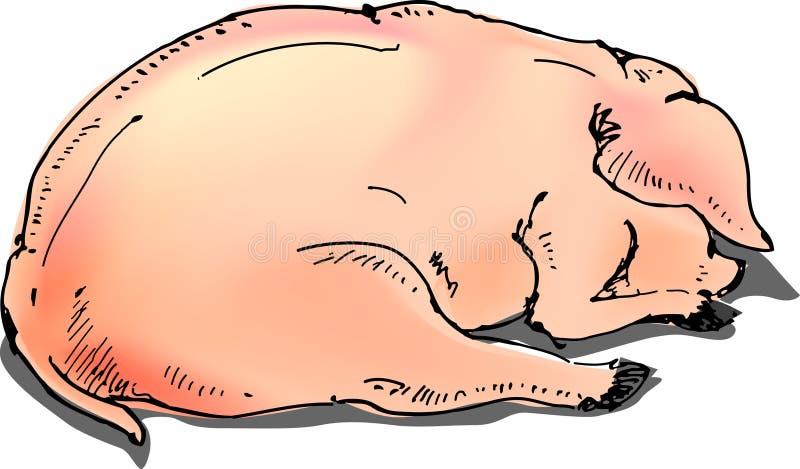 Sad Pig Stock Illustrations – 1,794 Sad Pig Stock Illustrations ...