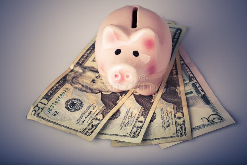 Pig on dollar banknotes stock image. Image of livestock - 29951503