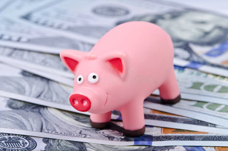 Pig on 100 bills stock image. Image of financial, business - 51717977