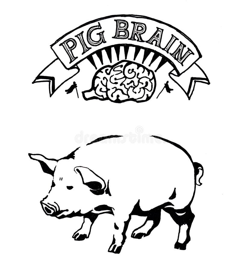 Pig Brain Hand Drawn Illustration. Art and Conceptual Metaphor Stock ...