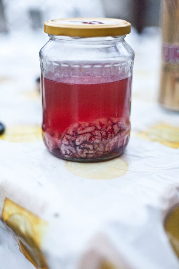 Pig brain stock image. Image of table, winter, outdoor - 72217071