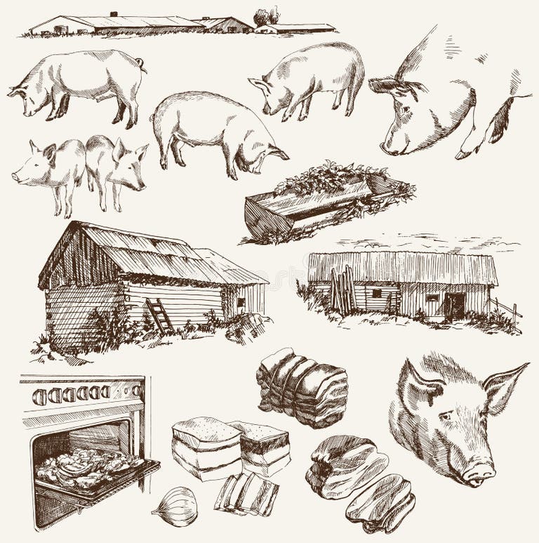 Pig Trough Stock Illustrations – 129 Pig Trough Stock Illustrations ...