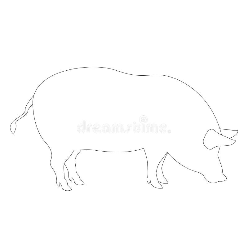 Pig Profile Drawing