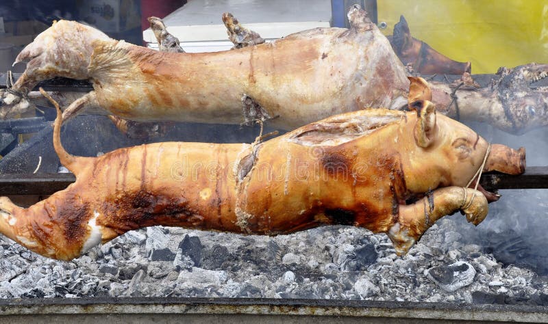 The Pig is Cooked on Coals and Fire for the Whole Family`s Dinne Stock ...