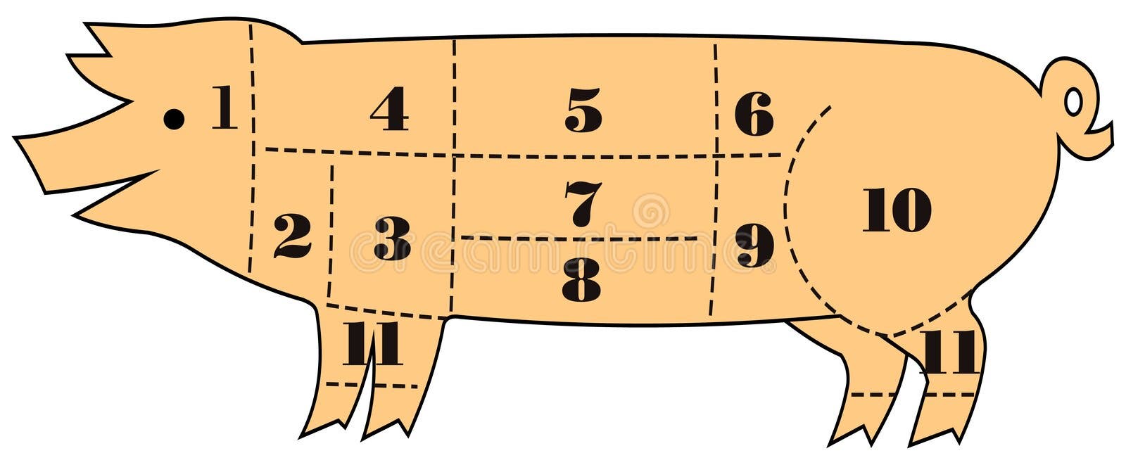 Pig cutting chart stock vector. Illustration of pork - 17935243