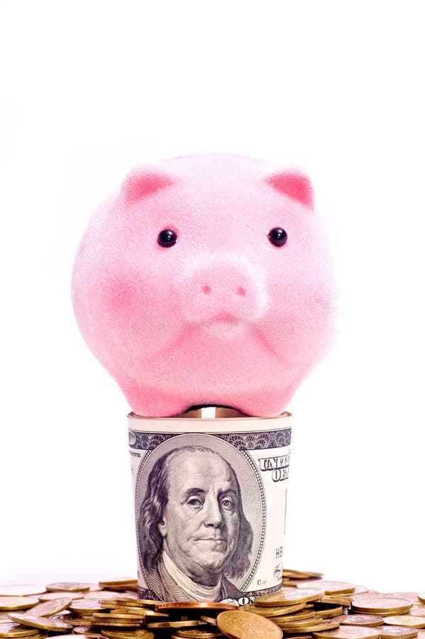 Pig on dollars stock photo. Image of animal, banking - 12939614
