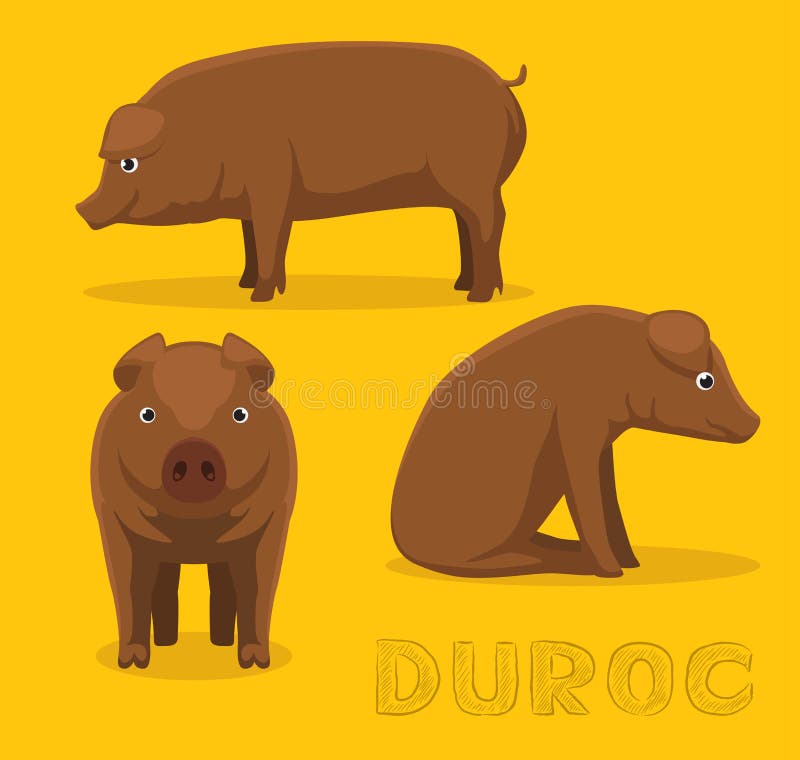 Pig Duroc Cartoon Vector Illustration Stock Vector - Illustration of ...