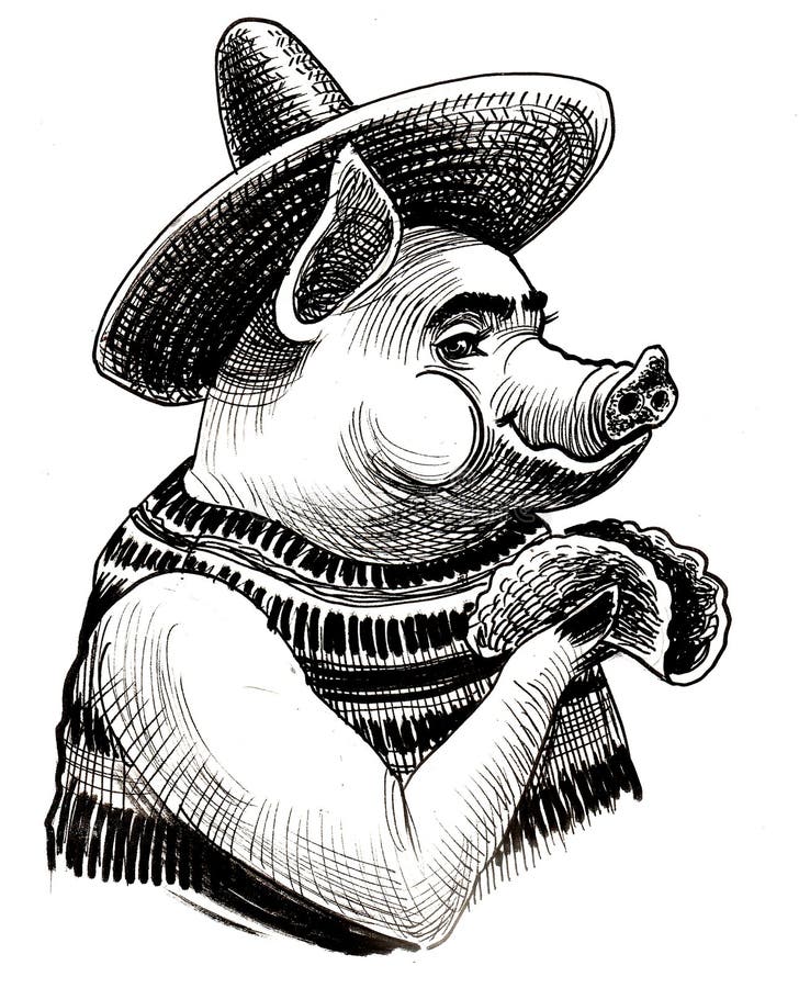 Pig eating taco stock illustration. Illustration of poster - 274501649