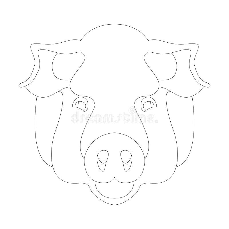 Simple Pig Face Drawing