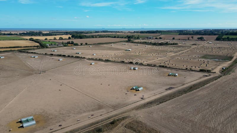 Pig farming Aerial view stock footage. Video of agriculture - 255049558