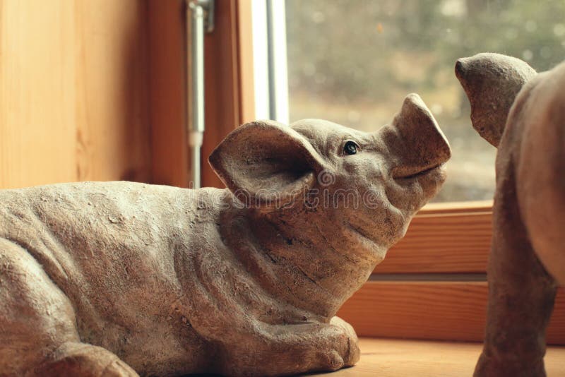 Pig Figure Lies Toward Window Stock Image - Image of home, clay: 90375091