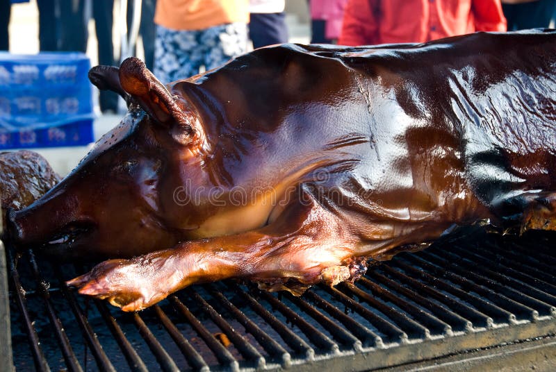 Pig on a grill stock image. Image of gather, food, roast - 3286141