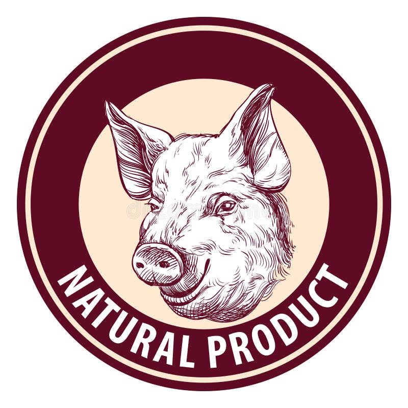Pig Hand Drawn Vector Llustration Sketch. Logo Design Template Stock ...