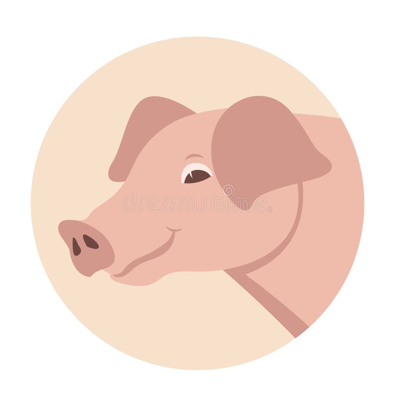 Pig Head Vector Illustration Flat Style Front Stock Vector ...