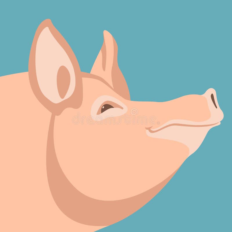 Pig Face Side Stock Illustrations – 168 Pig Face Side Stock ...