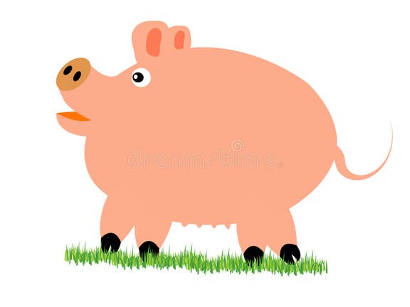 Pig on herb stock illustration. Illustration of animal - 16732832