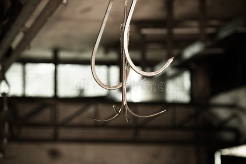 Pig Hook in slaughterhouse stock image. Image of fridge - 95174411