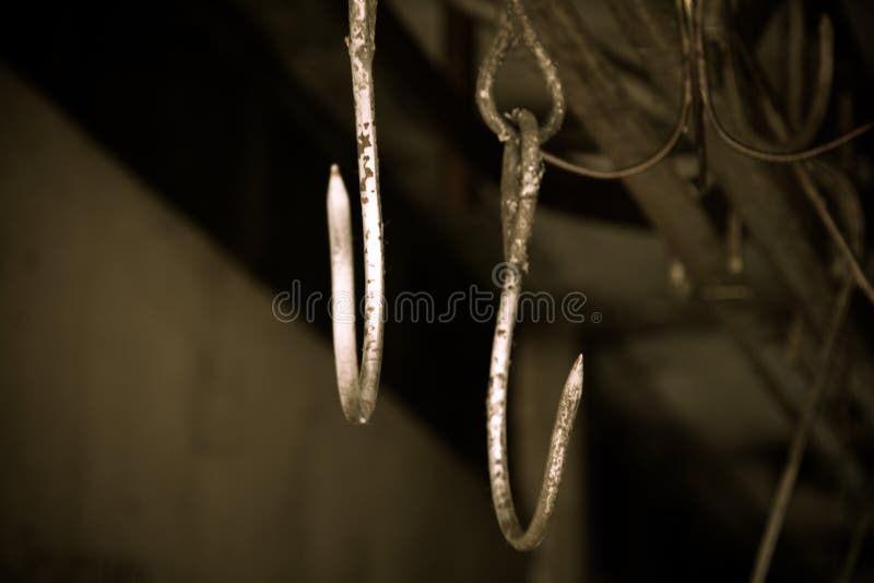 Pig Hook in slaughterhouse stock photo. Image of market - 95174716