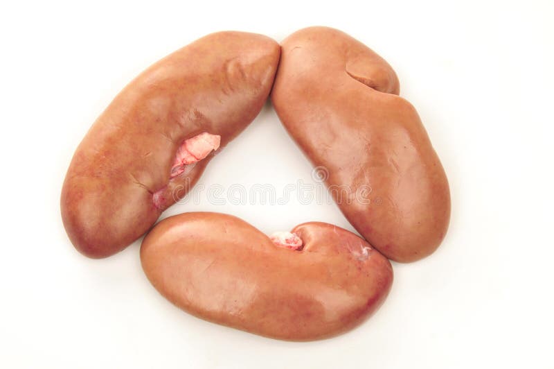 Pig Kidney on a White Background Stock Illustration - Illustration of ...