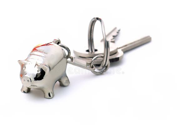 Pig label and keys stock image. Image of access, group - 1449777