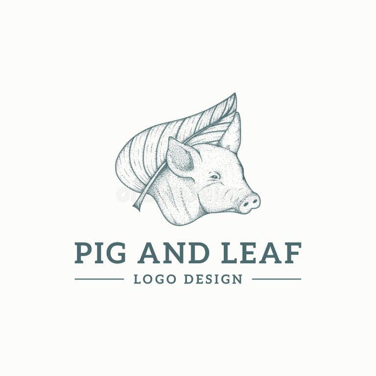 PIG and LEAF stock vector. Illustration of animal, head - 245591262