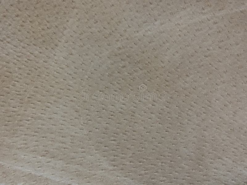 Pig leather stock photo. Image of boar, background, rind - 39866990