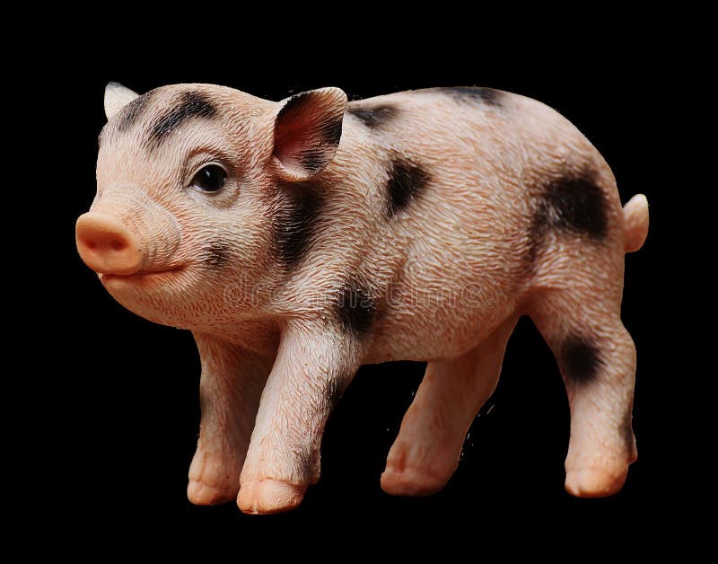 Pig Like Mammal, Pig, Mammal, Fauna Picture. Image: 100198571