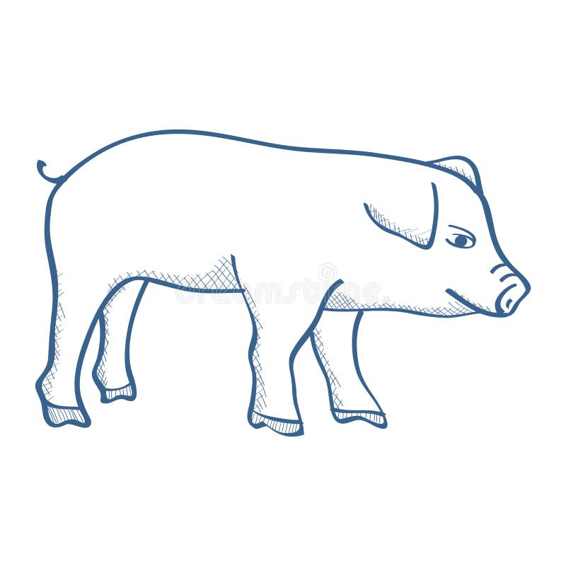 Pig stock illustration. Illustration of design, animals - 41643322