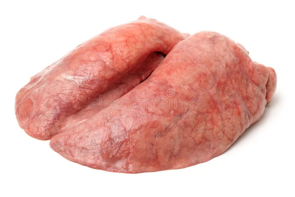 Pig lung stock image. Image of close, flesh, object - 102398201