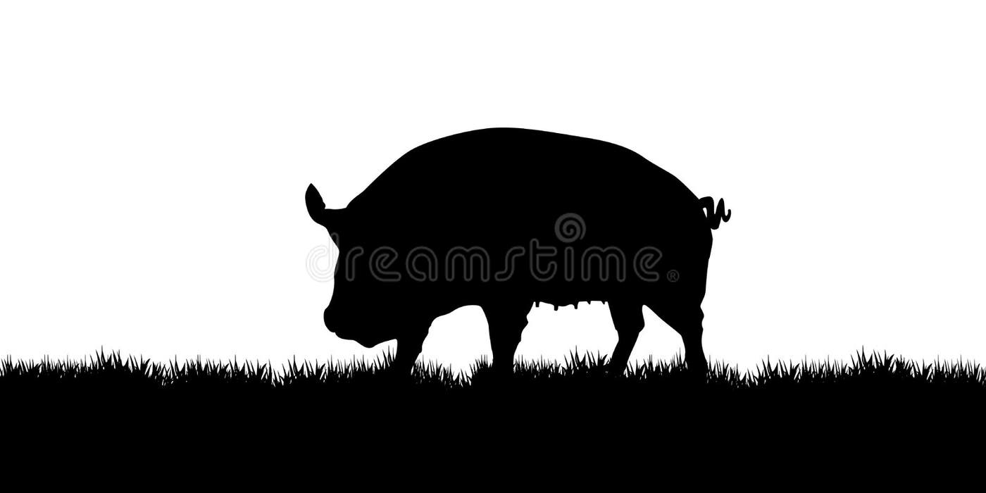 Hungry Pig Stock Illustrations – 276 Hungry Pig Stock Illustrations ...