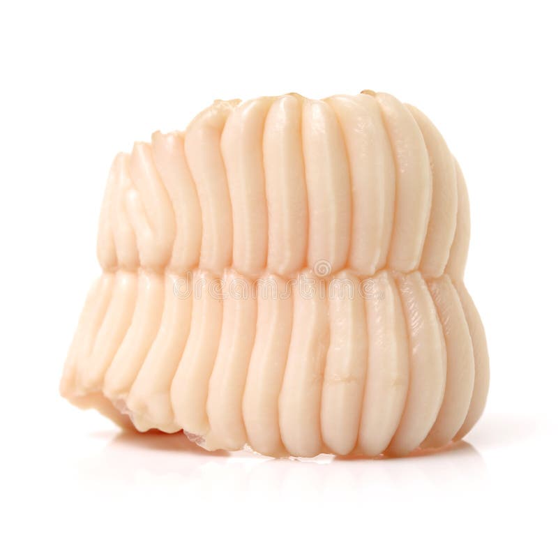 Pig palate stock photo. Image of mandible, oral, meat - 68927994